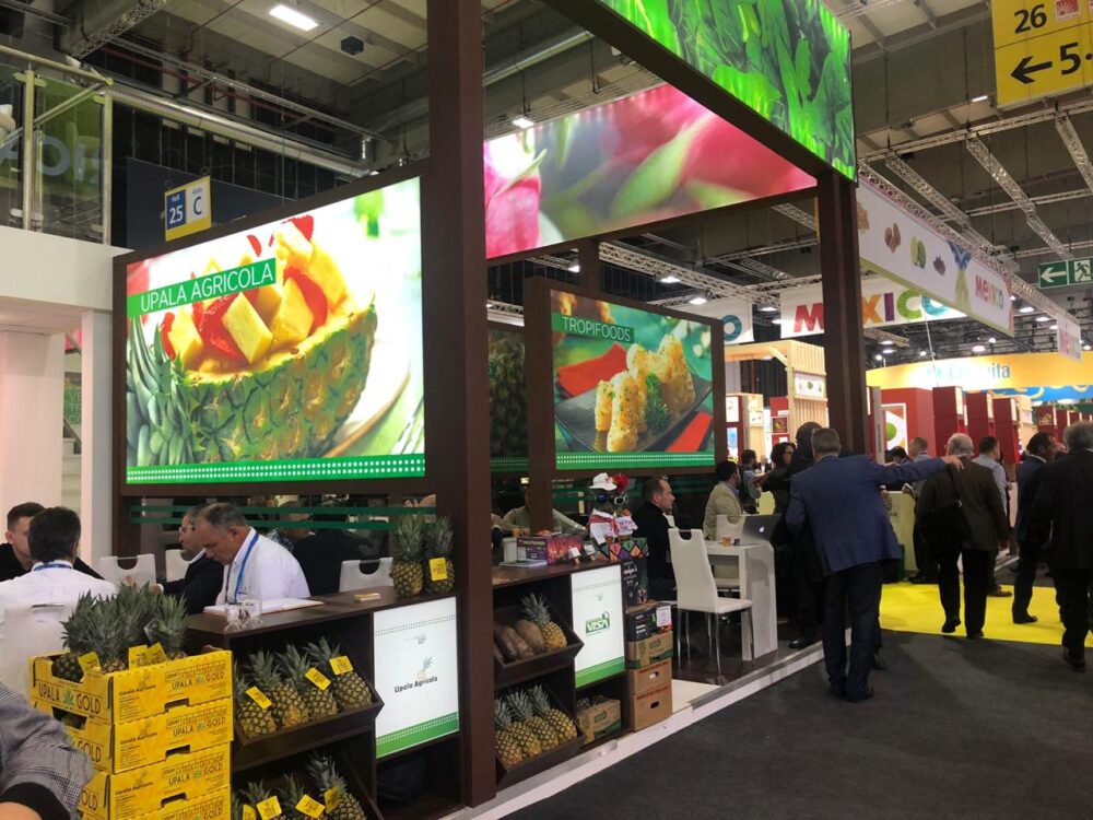 Productos agrícolas de Costa Rica exponen su diversidad y frescura en ...